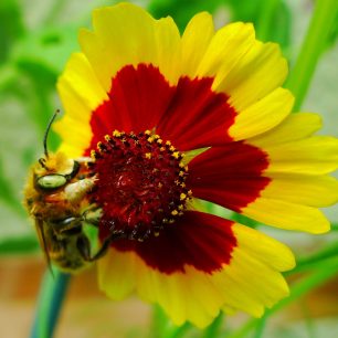 outreach – John Benning