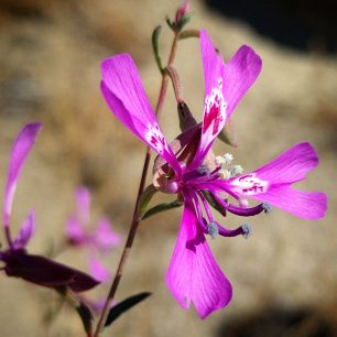 publications – John Benning