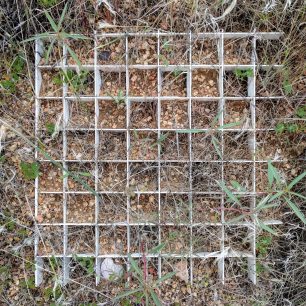 research – John Benning