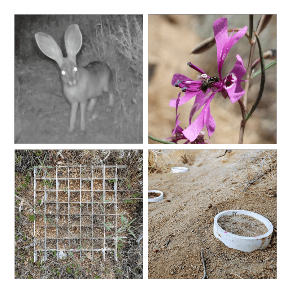 research – John Benning