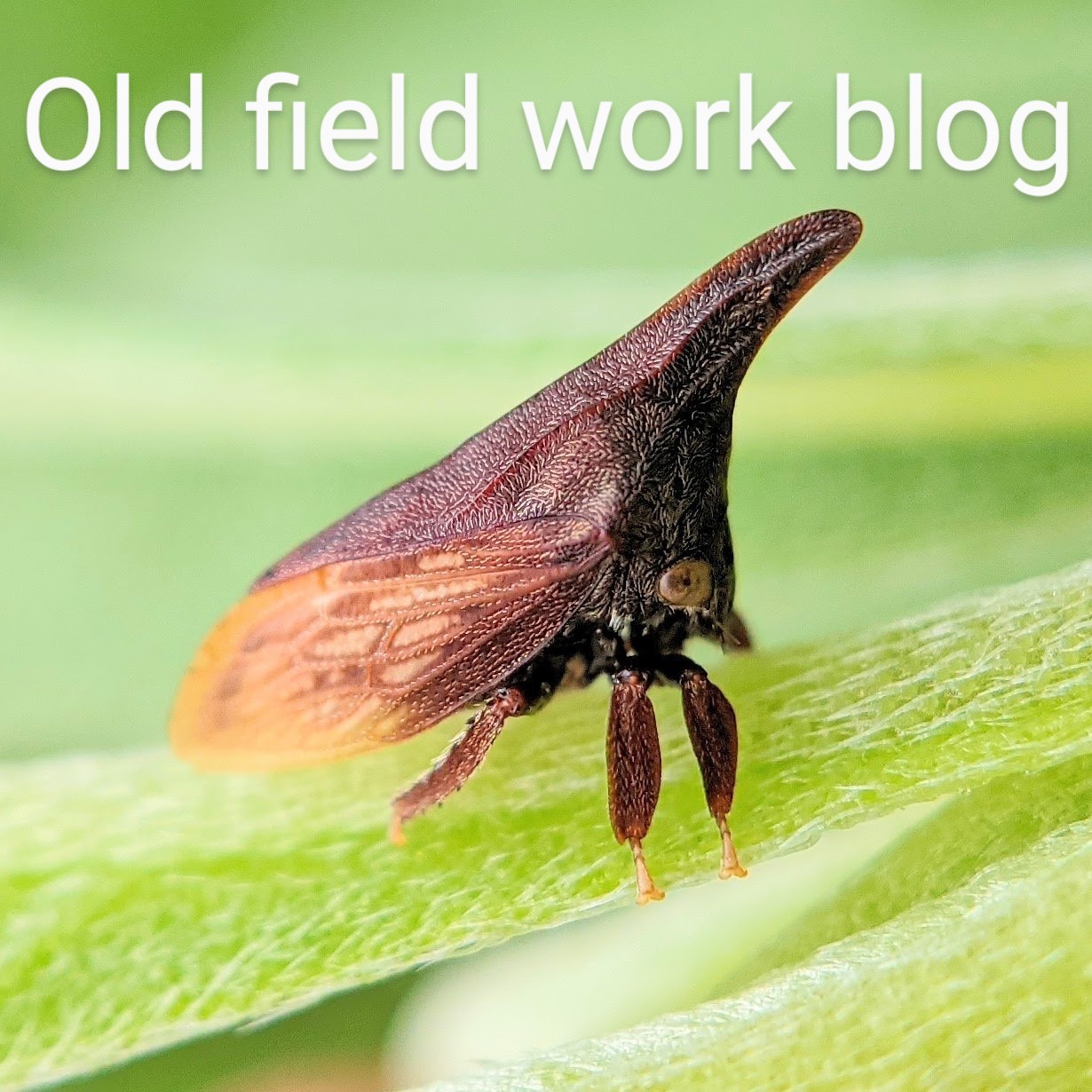 news/blog – John Benning